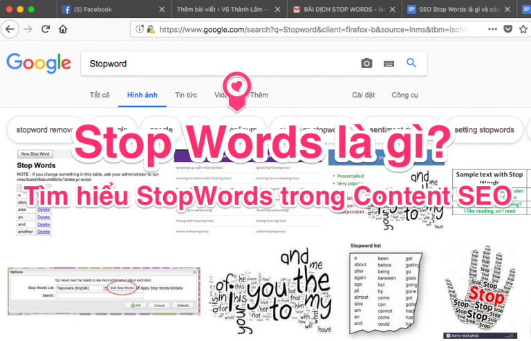 Stop Words là gì? Tầm quan trọng StopWords trong Content SEO